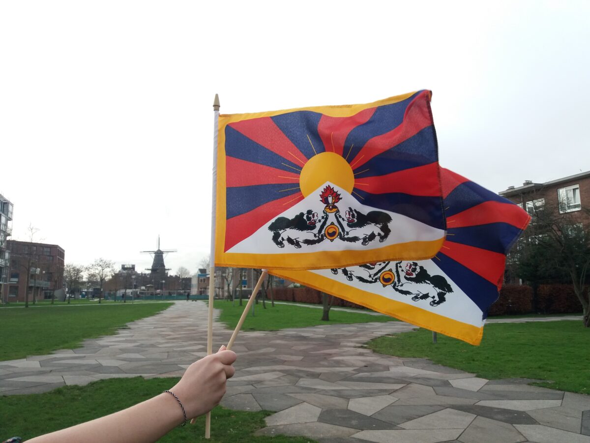 Tibetaanse vlag op stok - Campaign for Tibet
